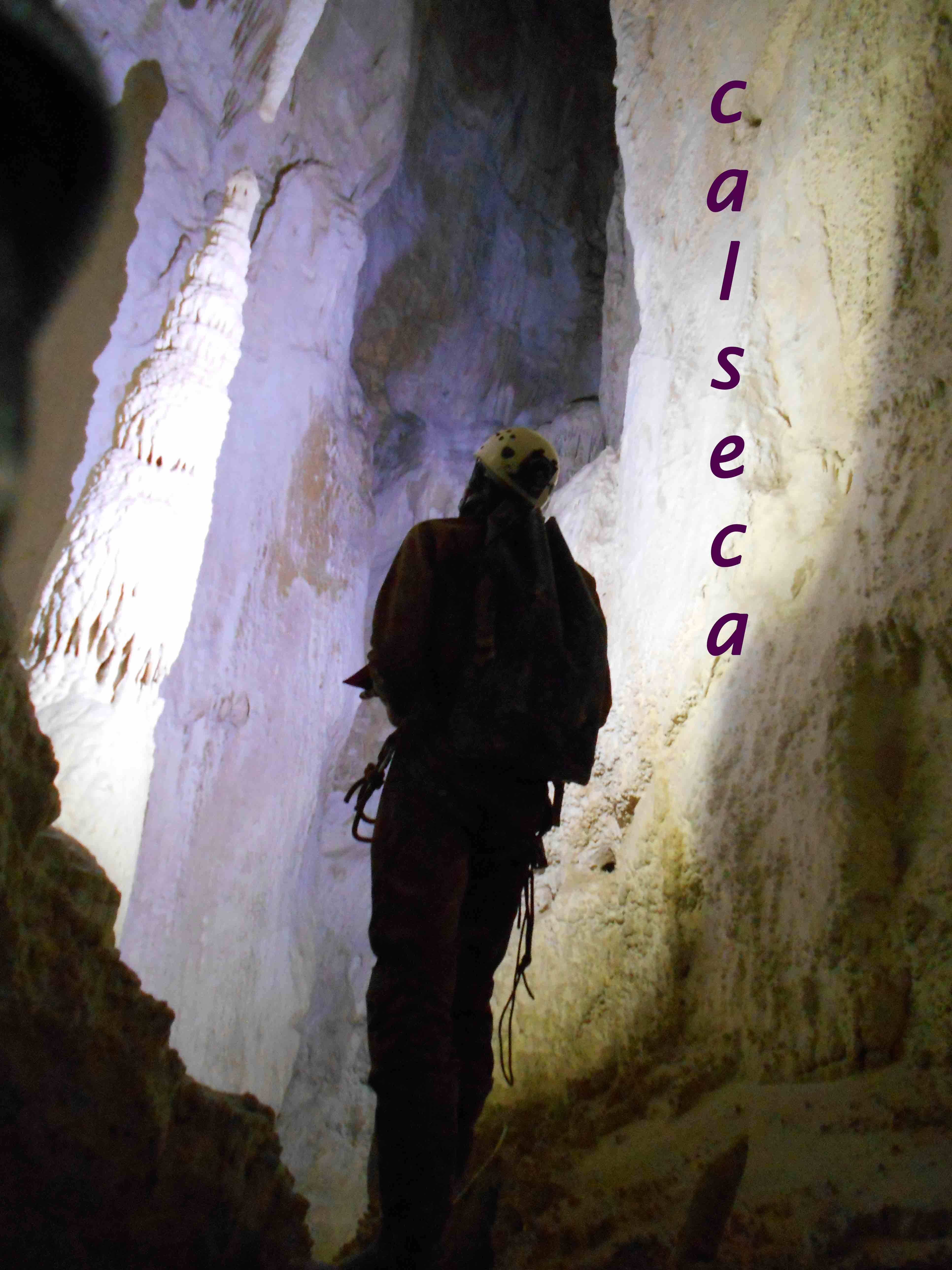 ZONA ALTO DEL TEJUELO EN CALSECA G.E. Niphargus